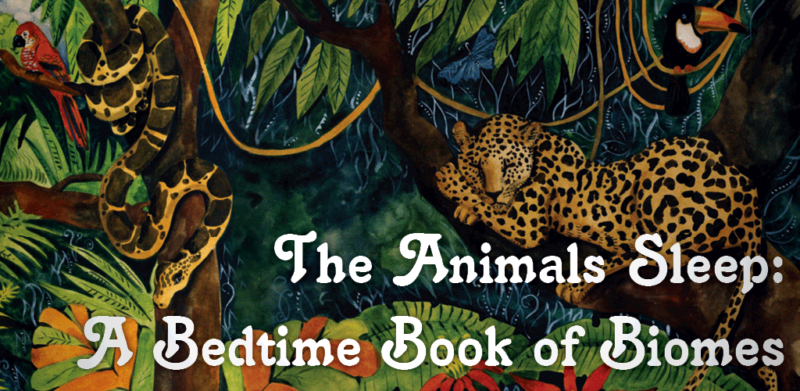The Animals Sleep: Book review - Sleep Education